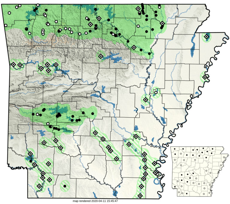 Graptemys geographica Northern Map Turtle | Herps of Arkansas